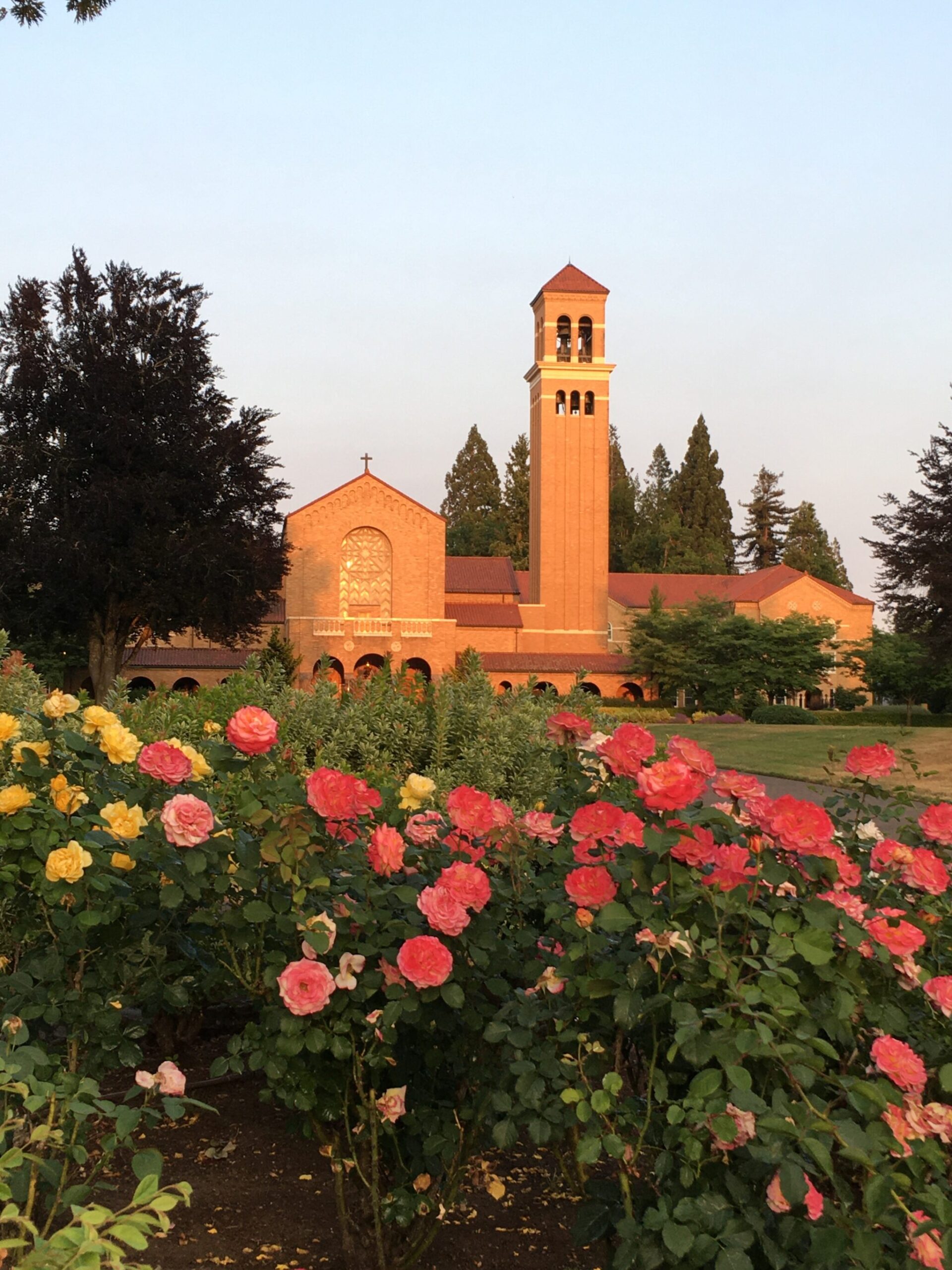 Notes to Oblates of Mount Angel Abbey - Mount Angel Abbey